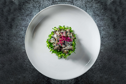 Professional HORECA Tableware Manufacturer ｜ Royalware china